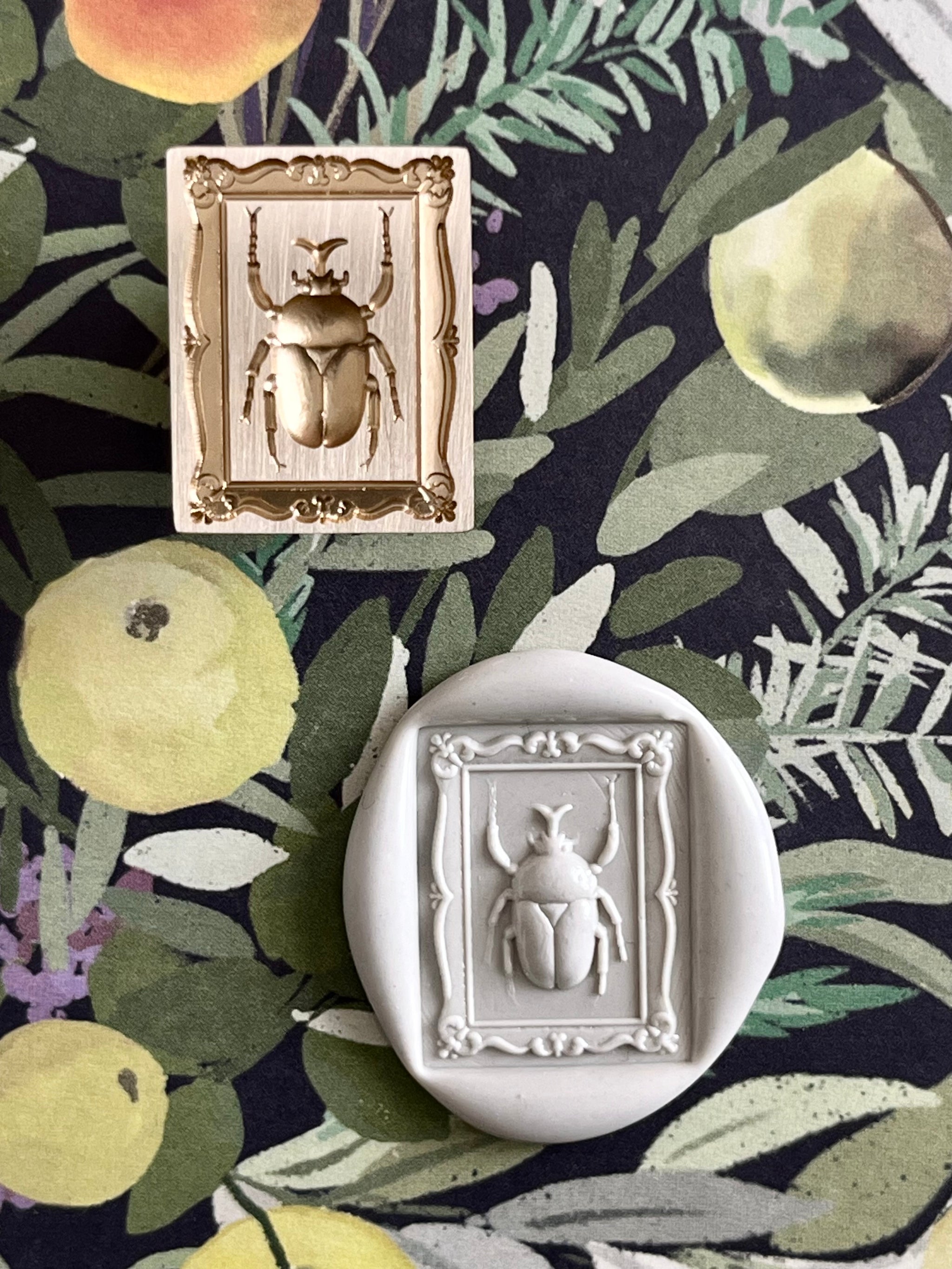 Framed Rhino Beetle – Strictly Rita