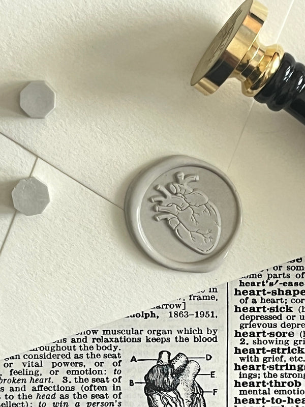 Anatomical Heart – Strictly Rita